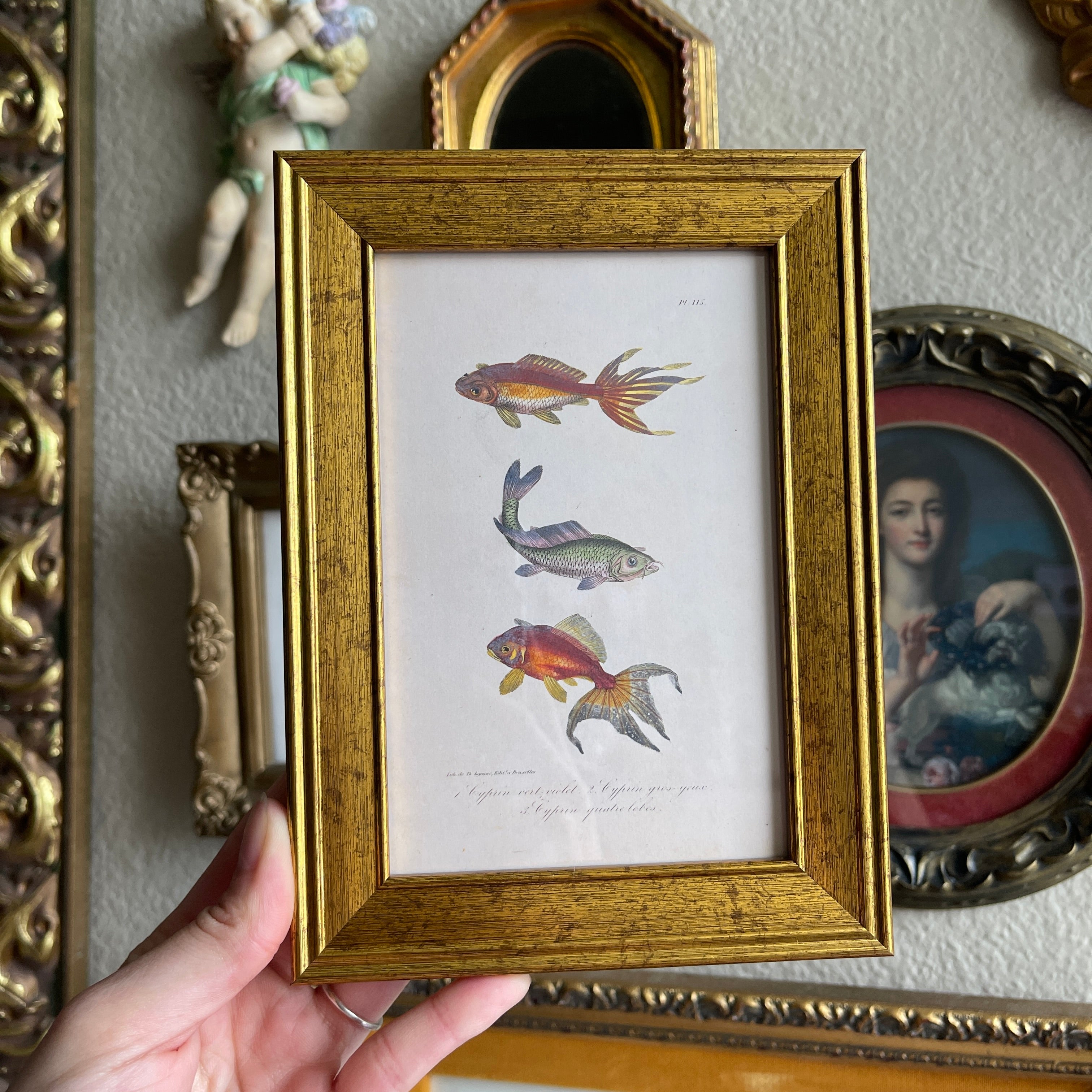 Vintage Style Fish trio framed Print gallery wall – Thrift Antiques